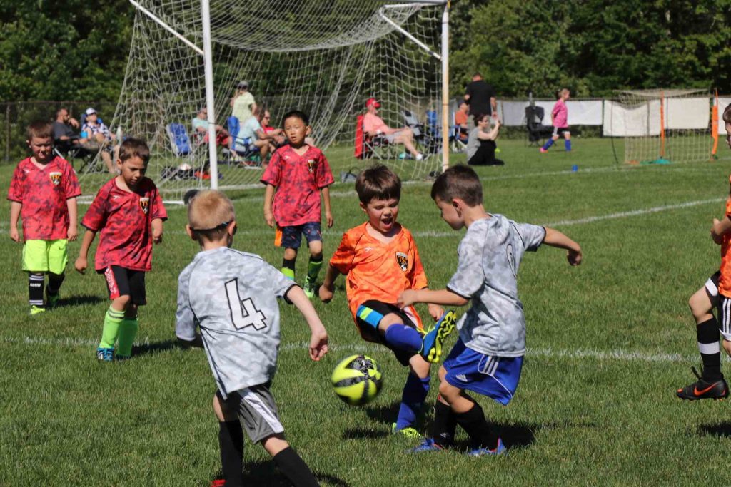 Fall Soccer – Tolland Soccer Club